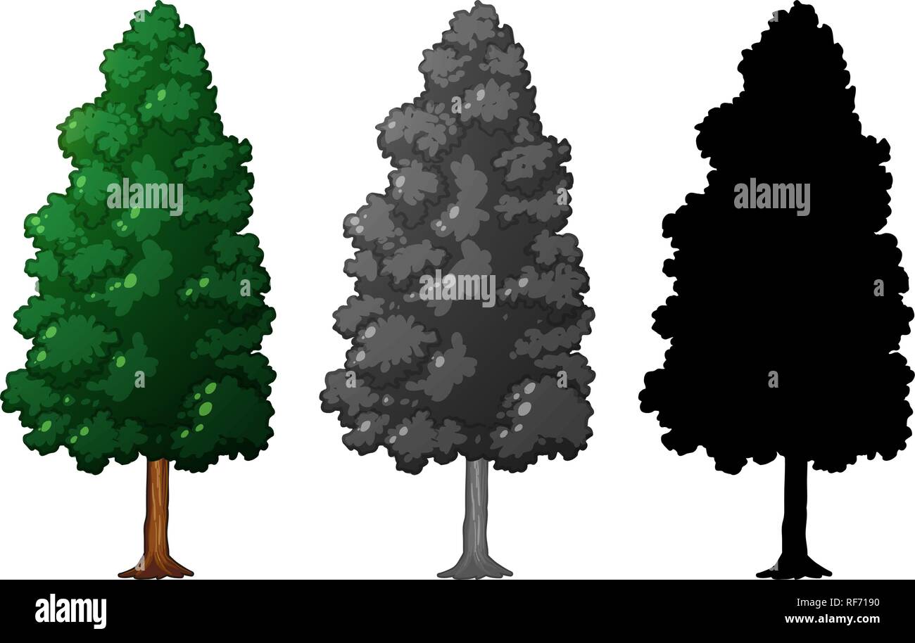 Set of isolated tree illustration Stock Vector Image & Art - Alamy