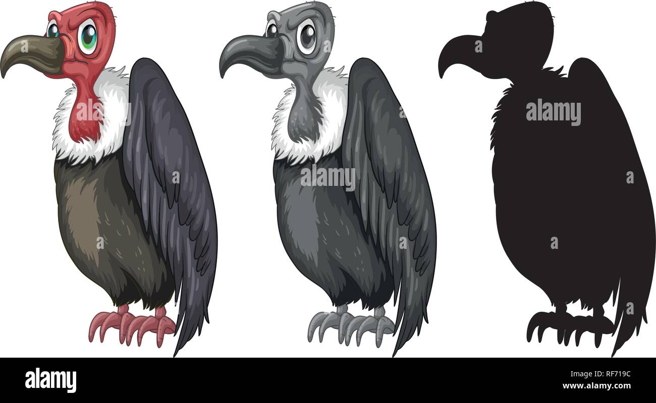 Vulture Stock Vector Images - Alamy