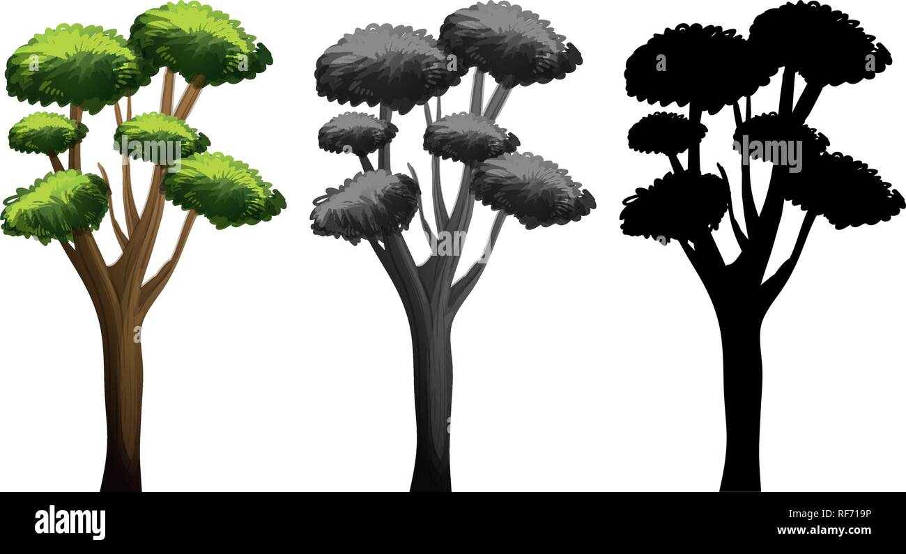 Set of different tree design illustration Stock Vector Image & Art - Alamy