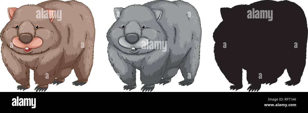 Set of wombat character illustration Stock Vector Image & Art - Alamy