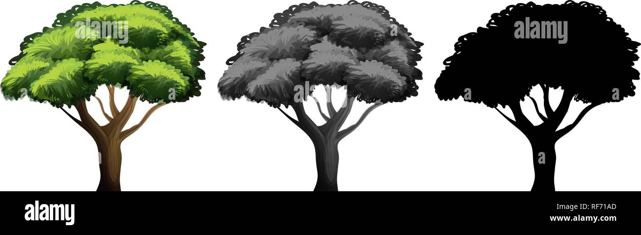 Set of different tree design illustration Stock Vector Image & Art - Alamy