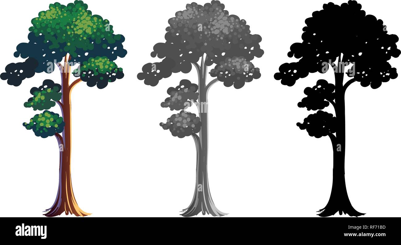 Set of tree design illustration Stock Vector Image & Art - Alamy