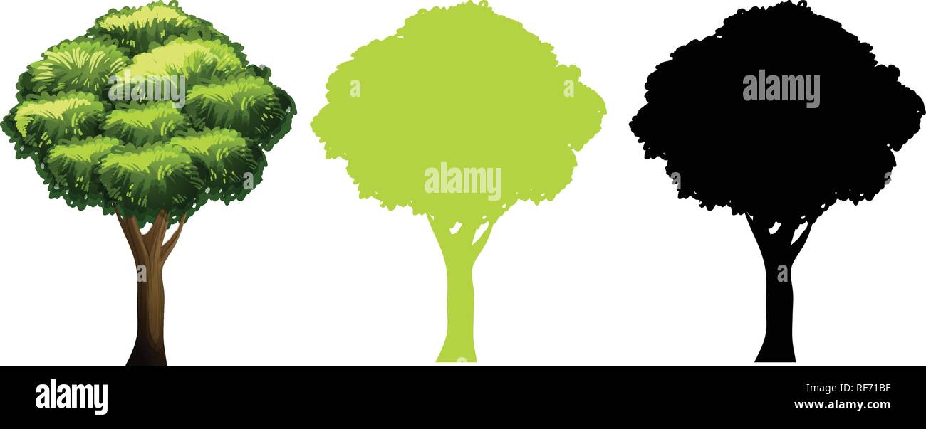 Set of different tree design illustration Stock Vector Image & Art - Alamy