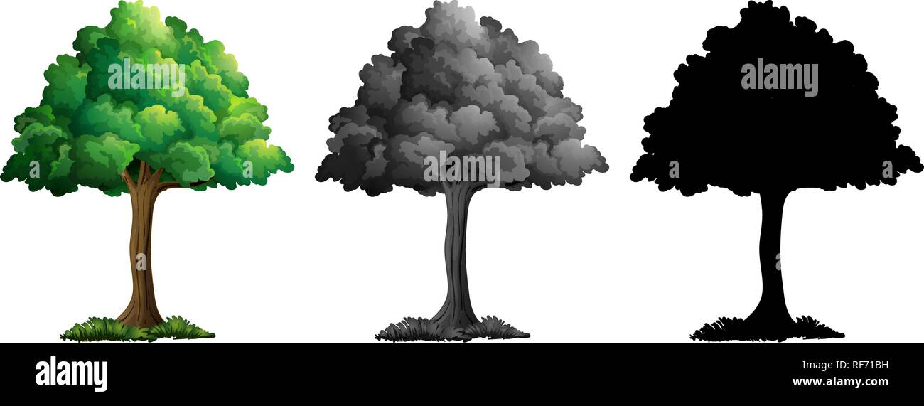 Set of isolated tree illustration Stock Vector Image & Art - Alamy