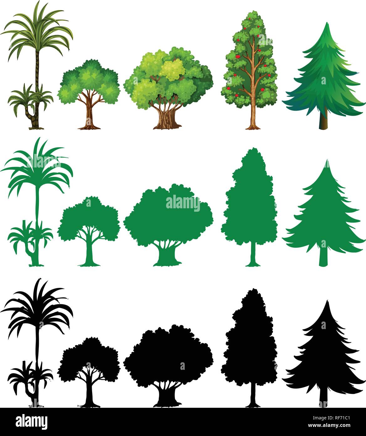 Set of different tree illustration Stock Vector Image & Art - Alamy