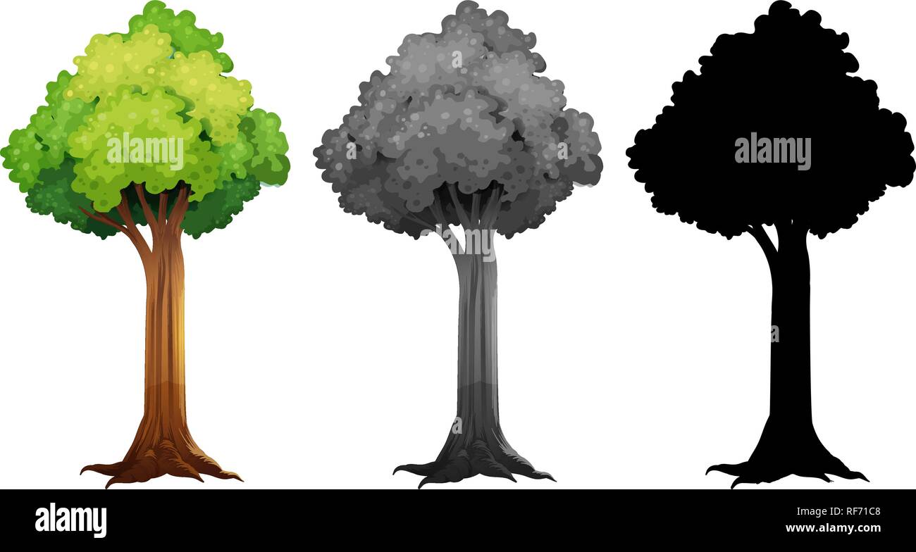 Set of different tree design illustration Stock Vector Image & Art - Alamy