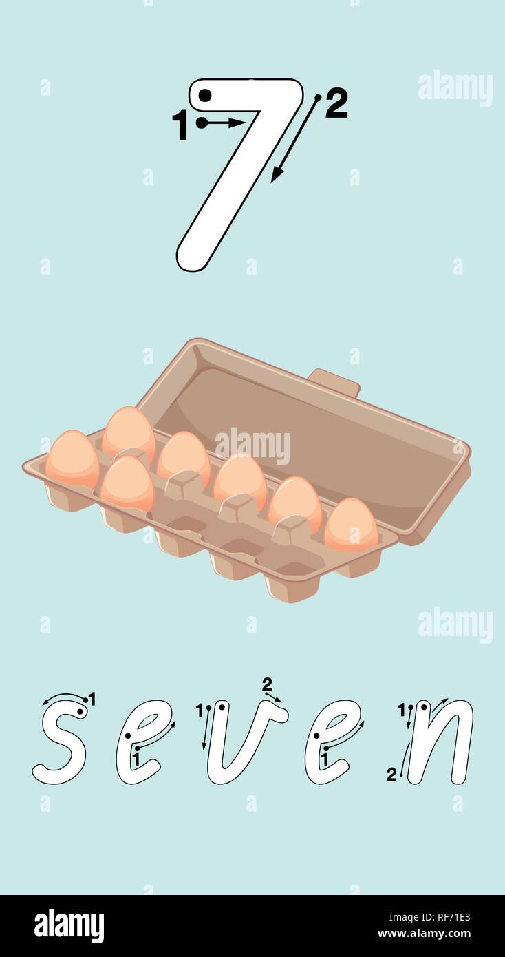 Seven eggs in carton illustration Stock Vector Image & Art - Alamy