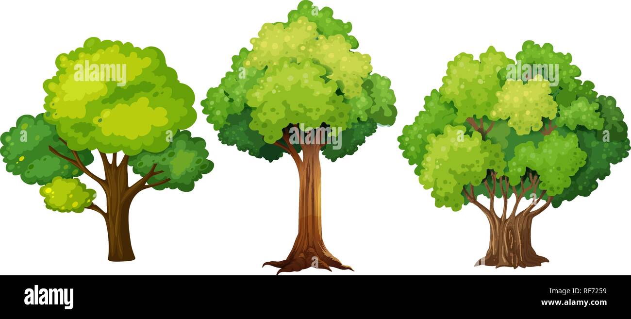 Set of different tree design illustration Stock Vector Image & Art - Alamy