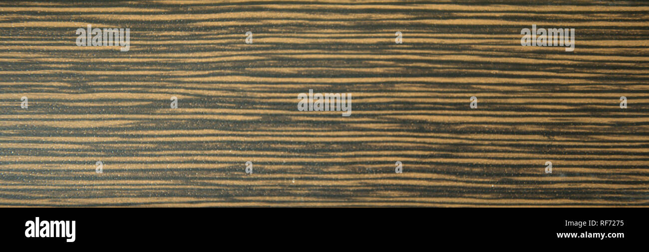 Natural wood sawed close-up. Background. Texture. Closr up shot Stock ...