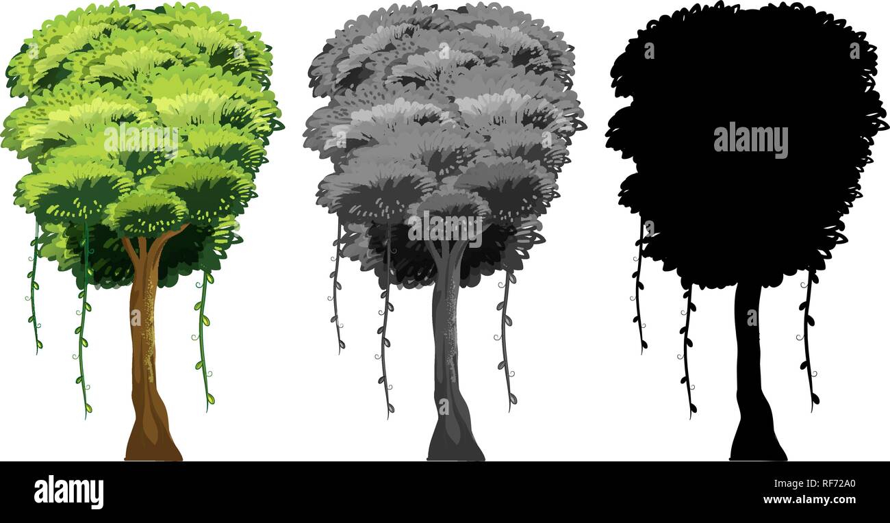 Set of tree design illustration Stock Vector Image & Art - Alamy