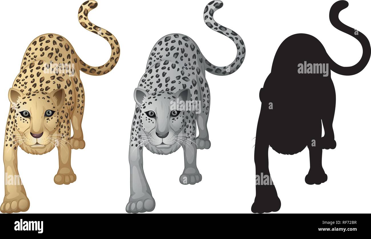 Set of tiger character illustration Stock Vector Image & Art - Alamy