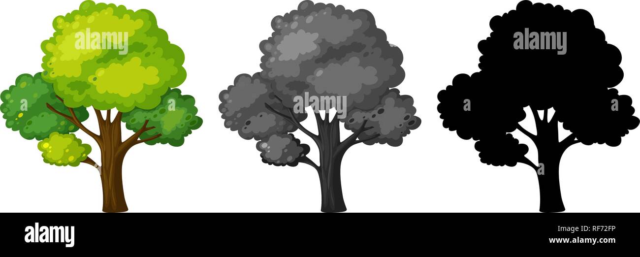 Set of isolated tree illustration Stock Vector Image & Art - Alamy