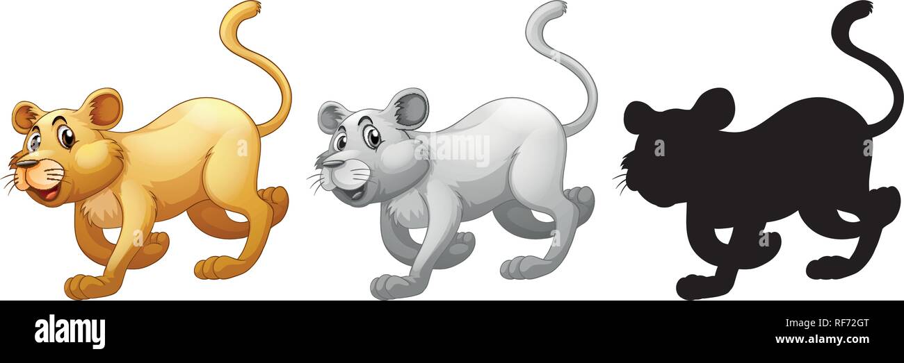Set of female lion illustration Stock Vector Image & Art - Alamy