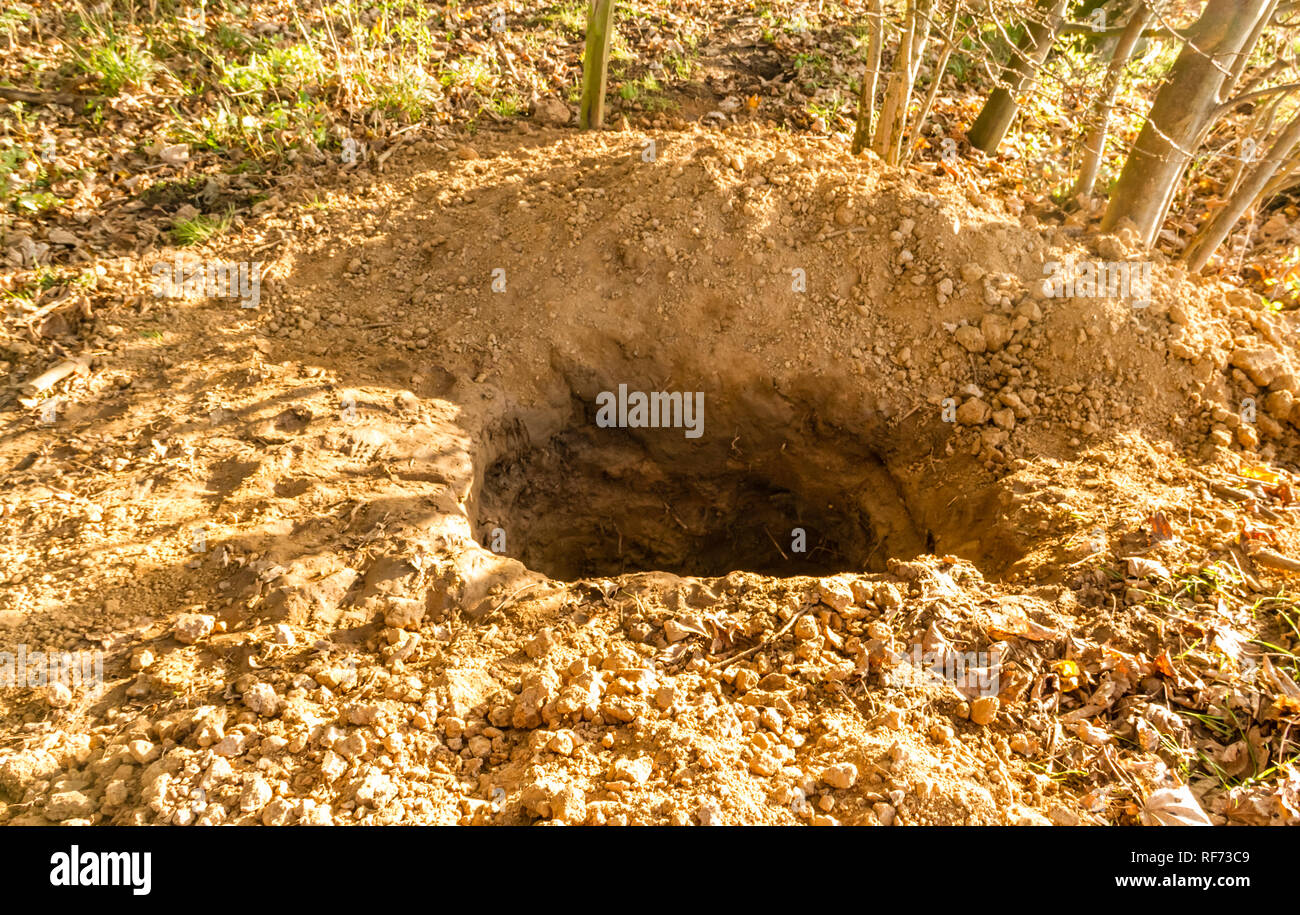Badger Baiting and Crime. A badger sett which has been dug out by gangs ...