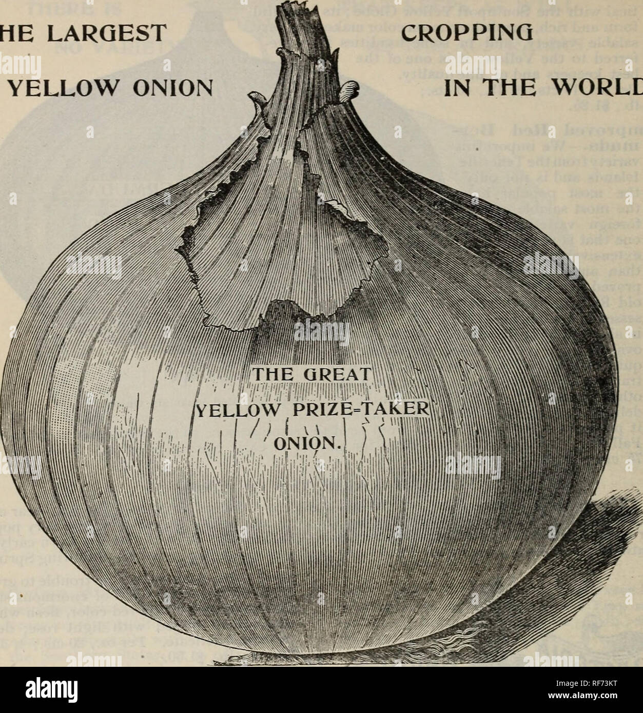. Buist's garden guide and almanac : 1902. Nursery stock Pennsylvania ...