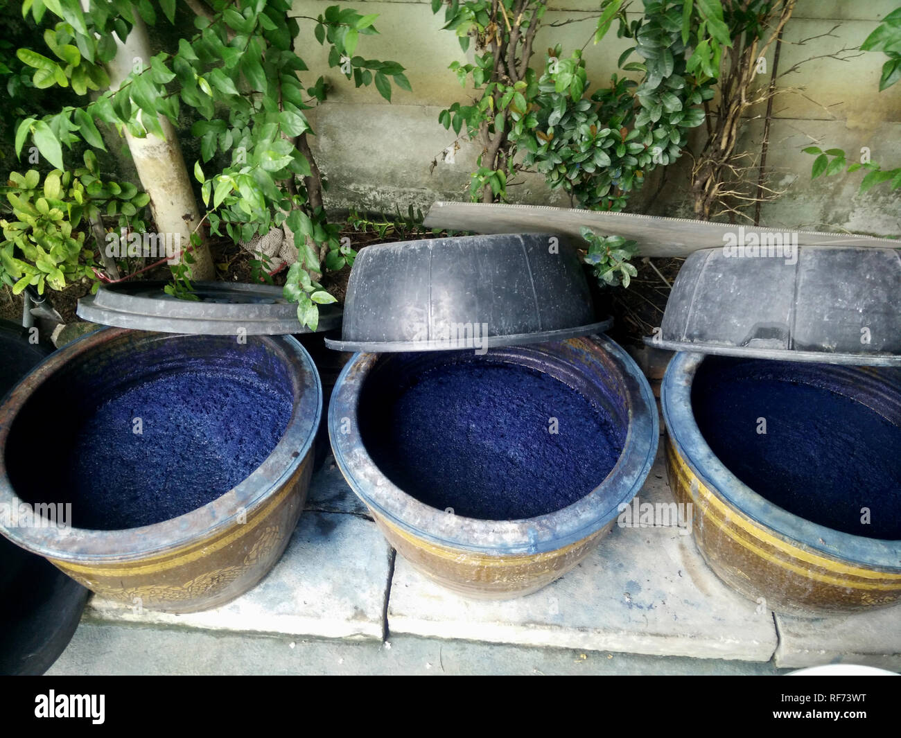 Indigenous and wisdom knowledge of thai people at Sakom nakorn and ...