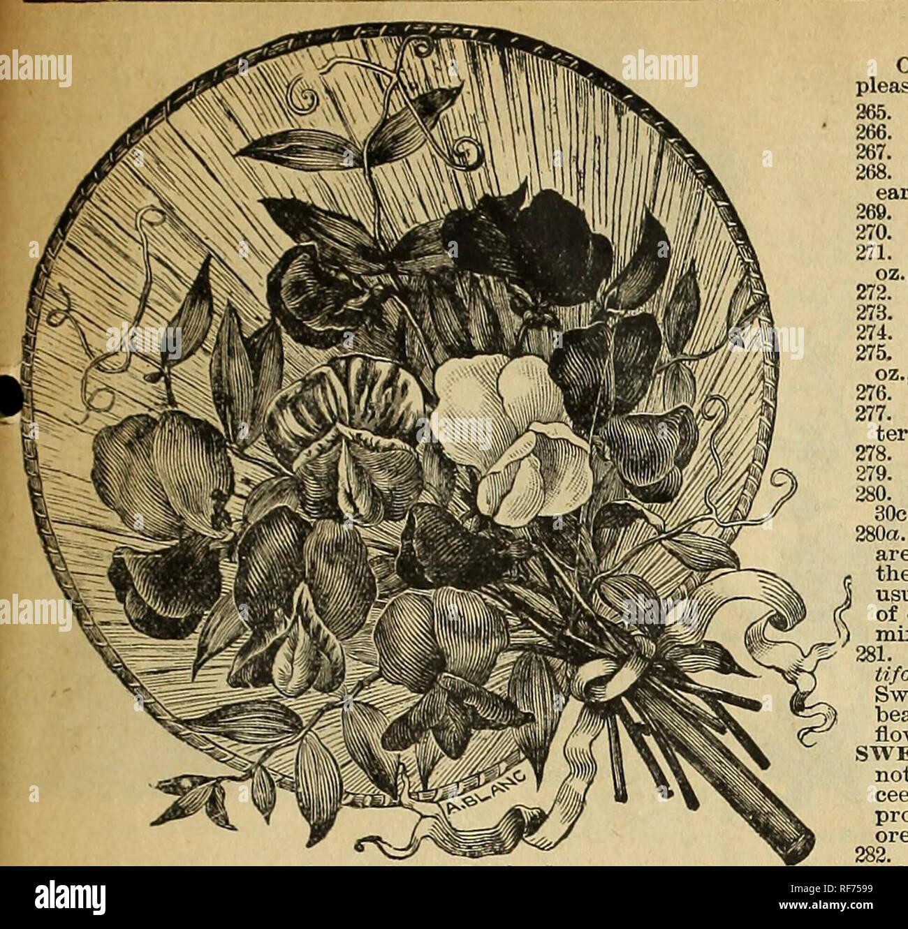 Burpee seed packets hi-res stock photography and images - Alamy