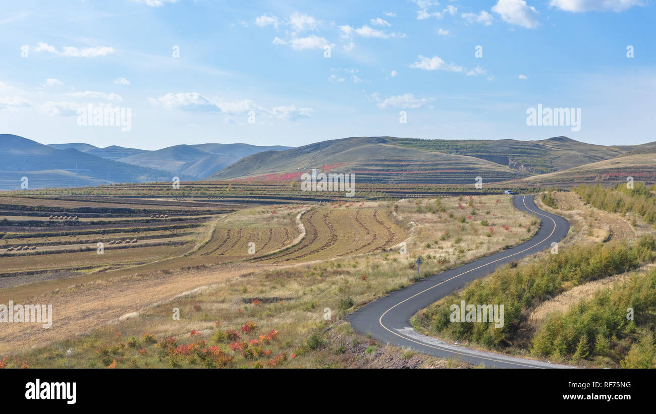 rural road on desert land Stock Photo - Alamy