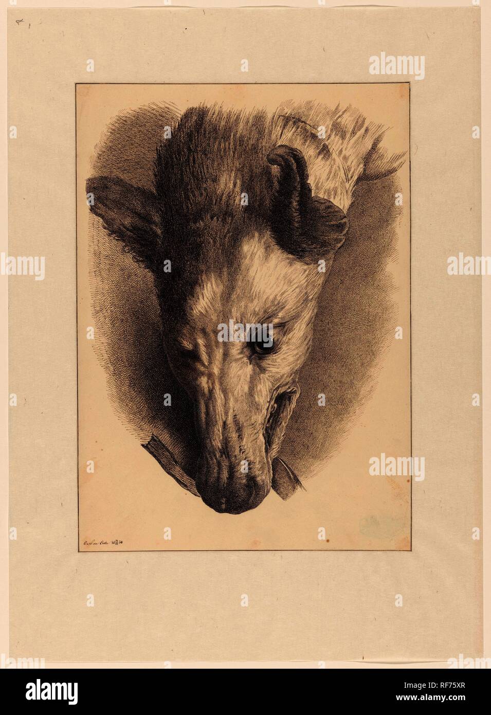 Joseph Mendes Da Costa High Resolution Stock Photography and Images - Alamy