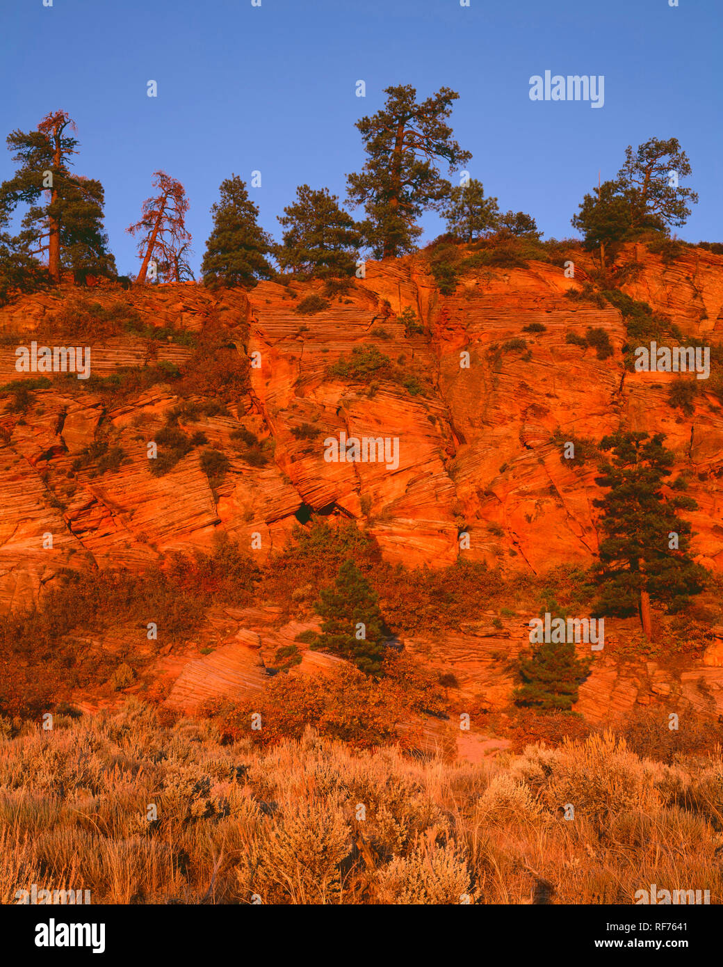 Cross bedded sandstone hi-res stock photography and images - Alamy