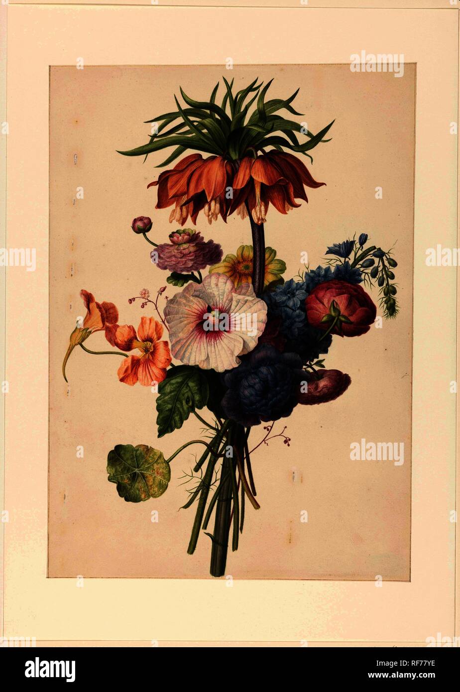 Geertruida hi-res stock photography and images - Alamy