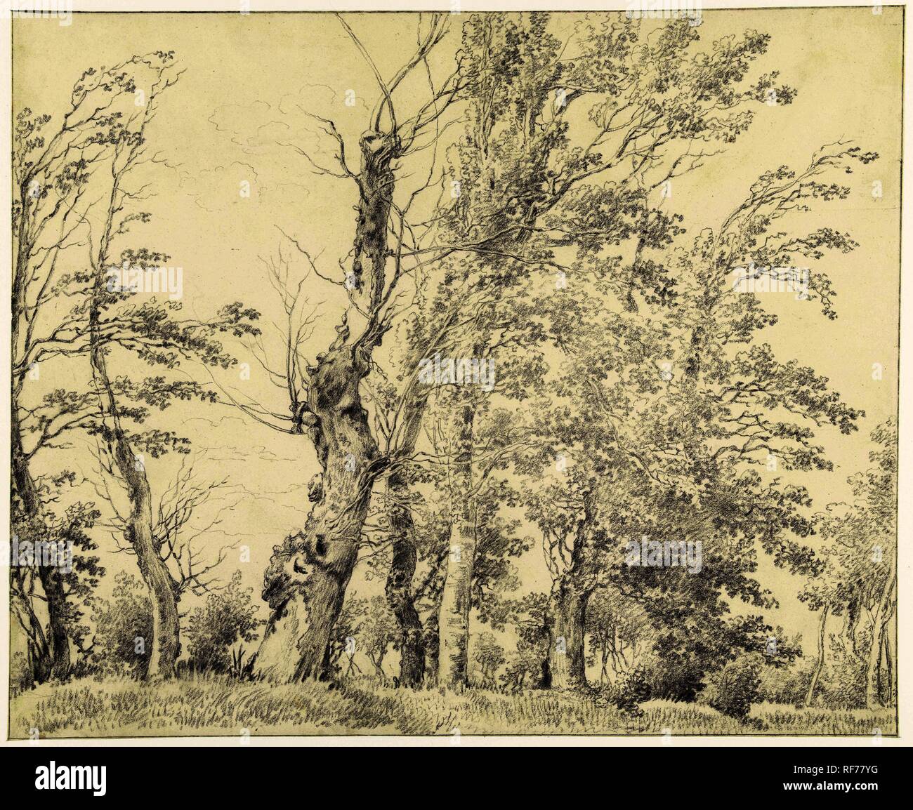 Steven goble hi-res stock photography and images - Alamy