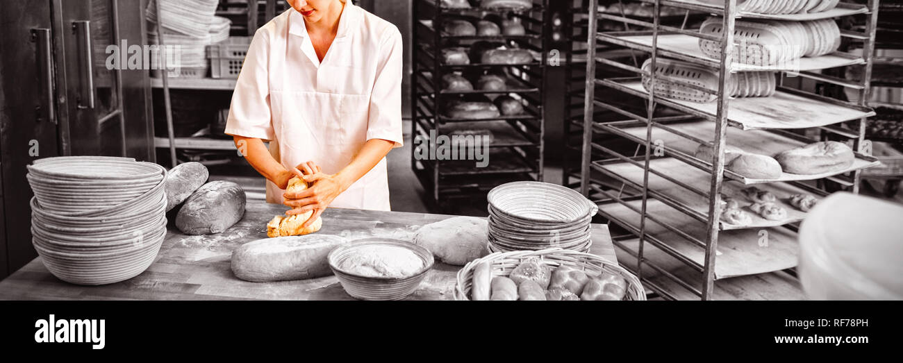Female baker kneading a dough Stock Photo - Alamy