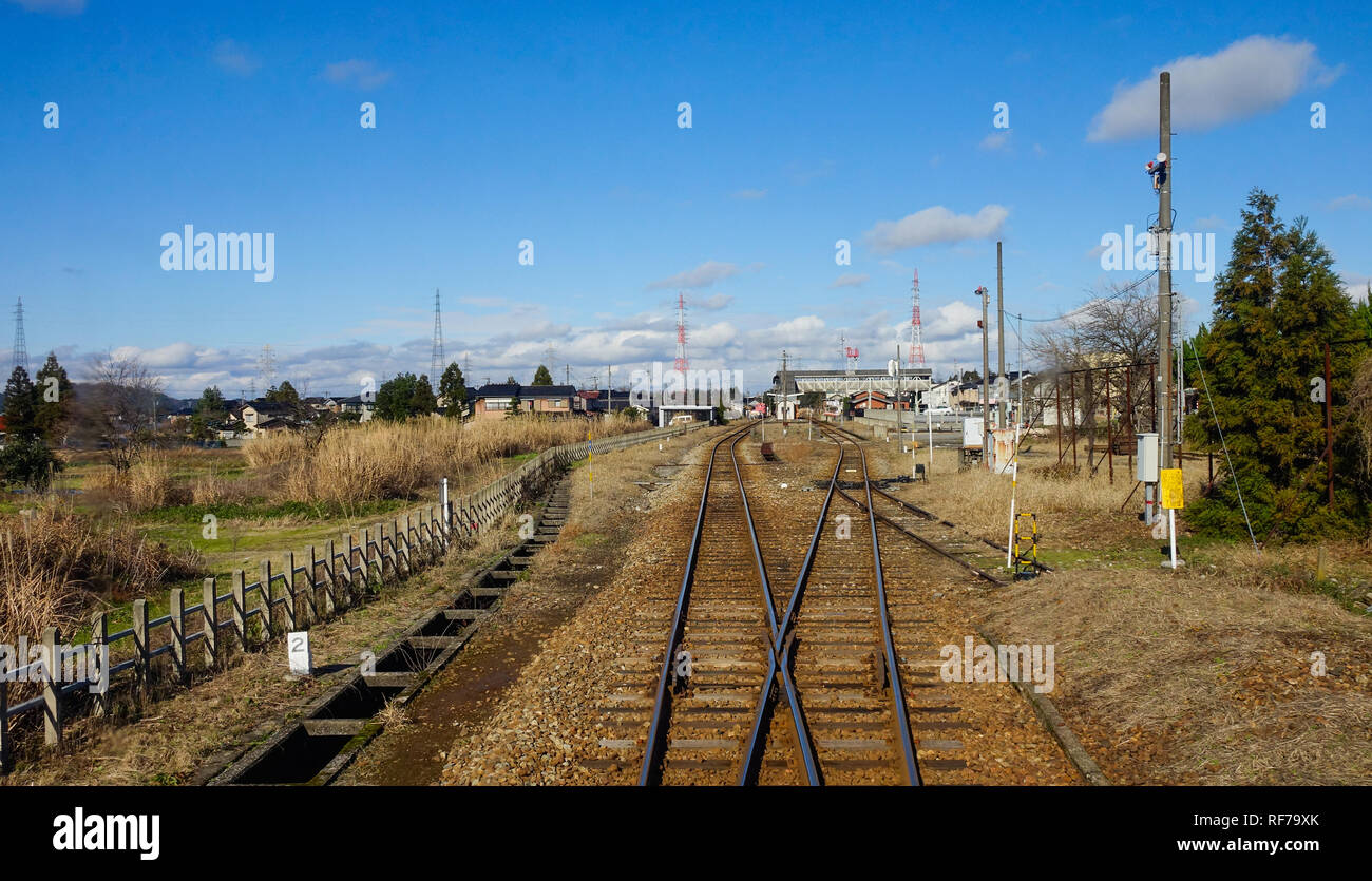 Empty tramway rail tracks, with green trees and grass around Stock ...