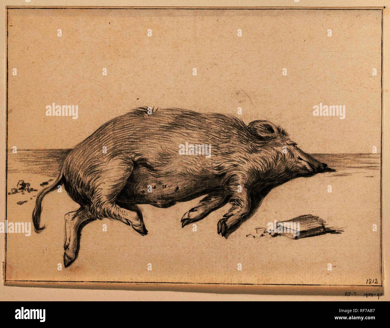 Lying pig, to the right. Draughtsman: Jean Bernard. Dating: 1812 ...