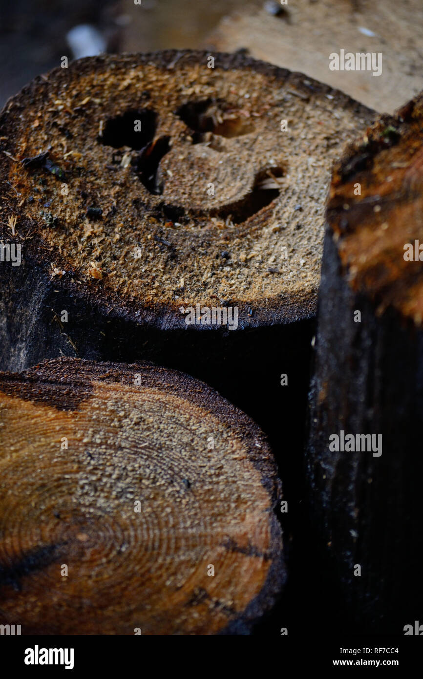 Stump face hi-res stock photography and images - Alamy