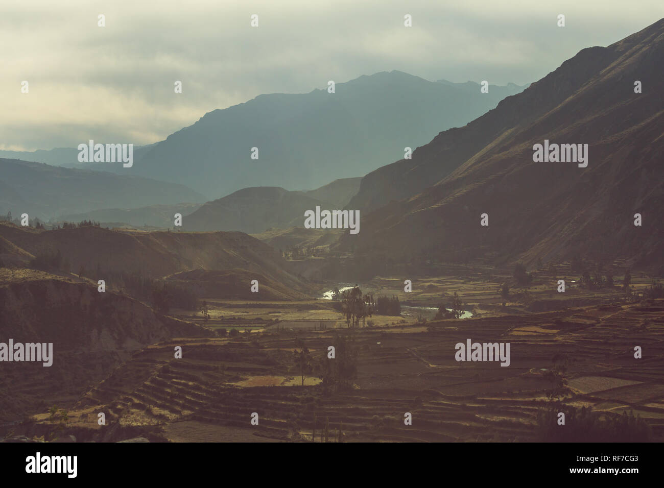 Agricultural Fields in green mountains in the Peru, South America Stock ...