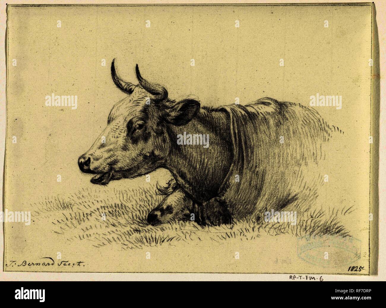 Lying cow, to the left. Draughtsman: Jean Bernard. Dating: 1825 ...