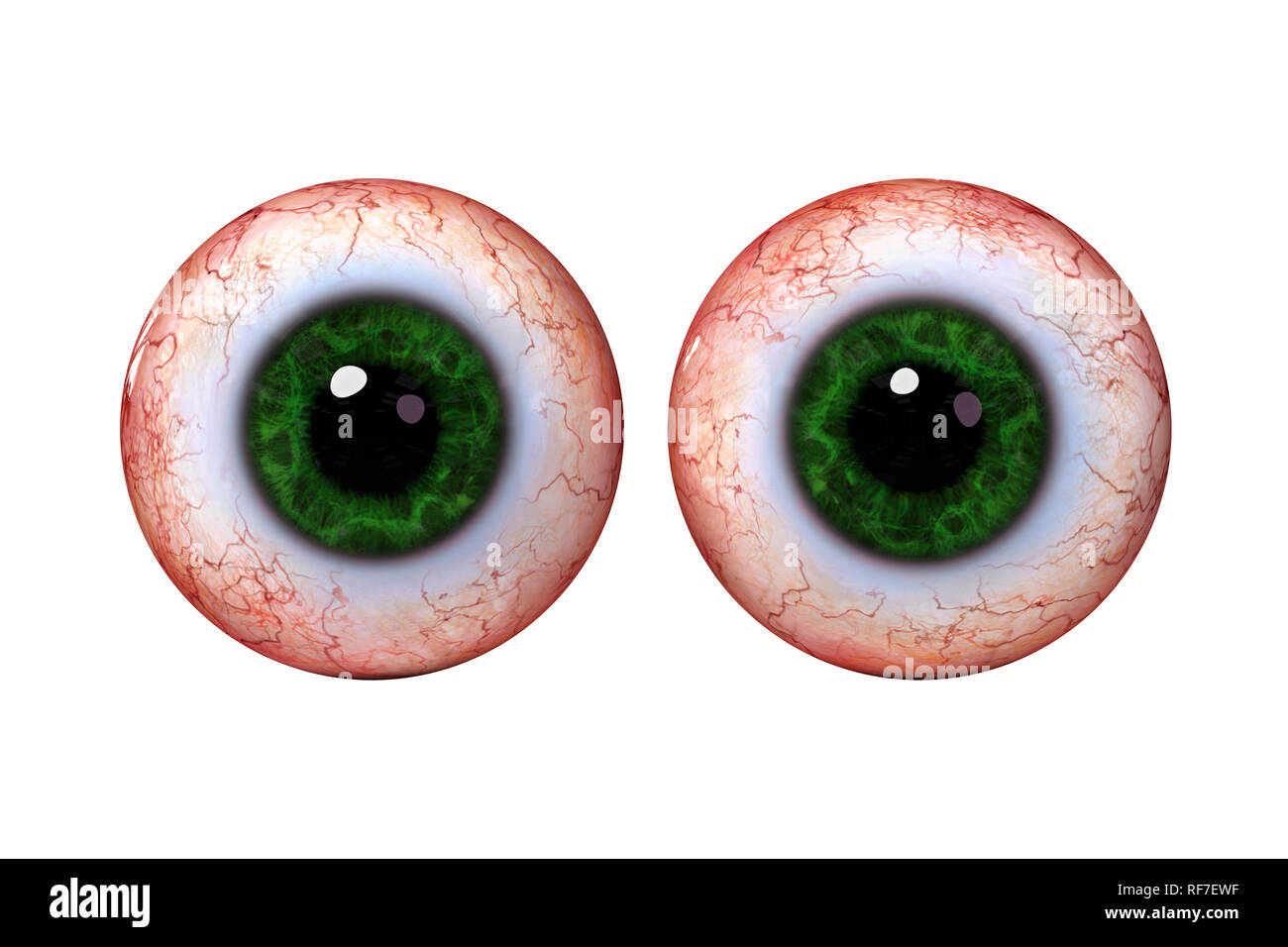 two realistic human eye balls with green iris, isolated on white ...