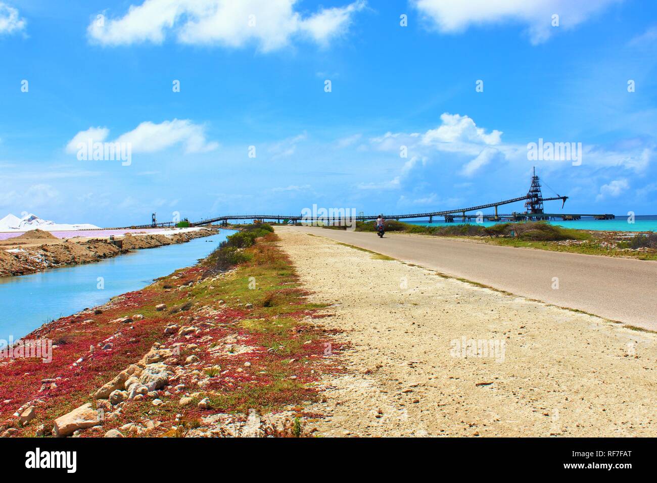 Man riding scooter along ocean hi-res stock photography and images - Alamy