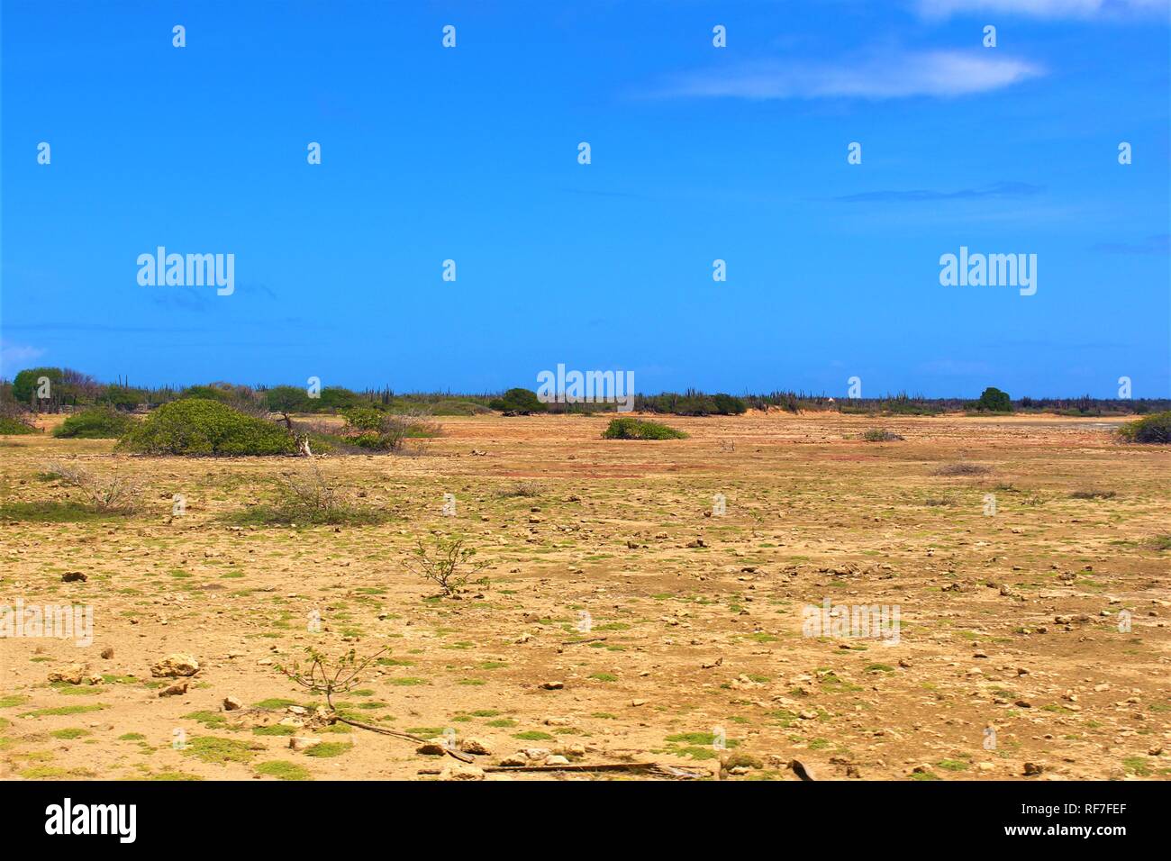 The dry, desolate, desert-like landscape of the Caribbean island of ...