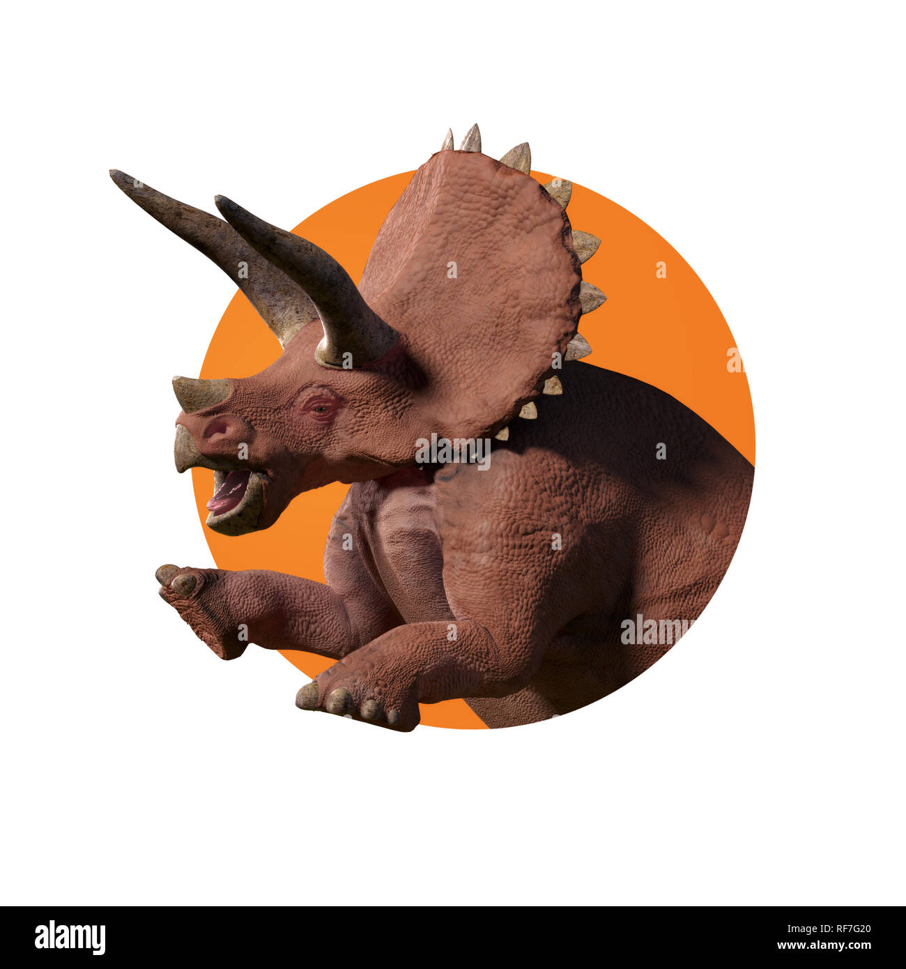 Triceratops dinosaur 3d render hi-res stock photography and images - Alamy