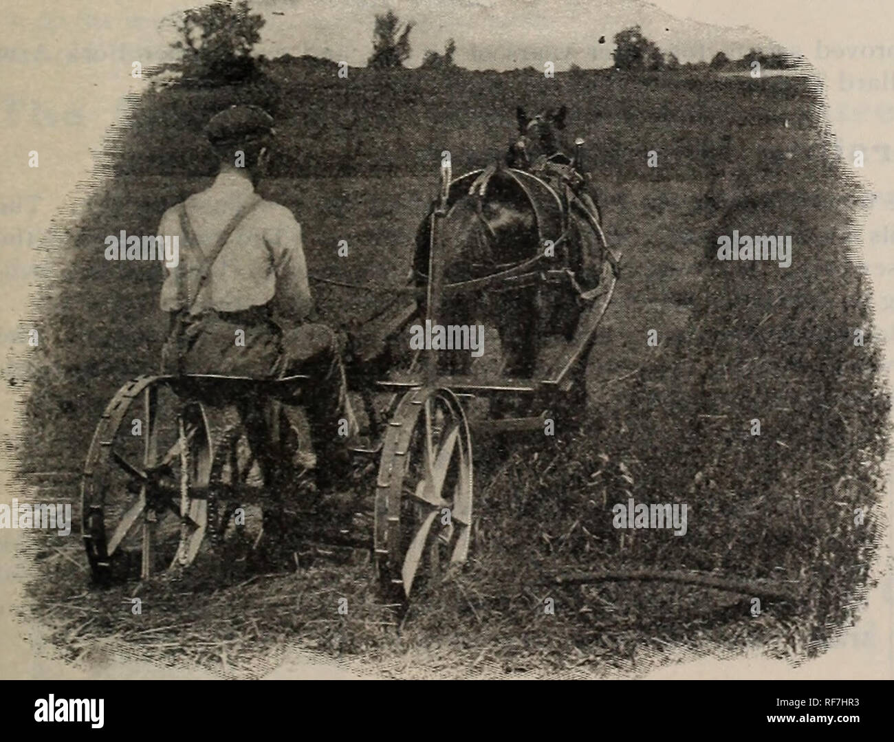 Possessed vegetables hi-res stock photography and images - Alamy