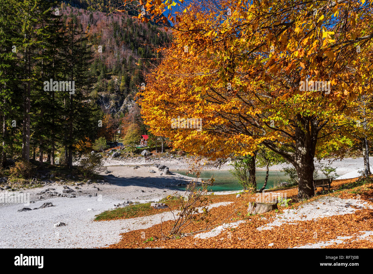 Warm autumn colors on the lake of Predil. Tarvisio, Friuli Stock Photo ...