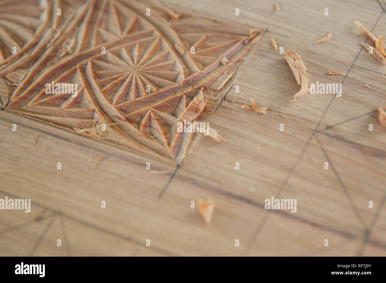 The Mulanje Cedar, Widdringtonia whytei, is critically endangered due ...