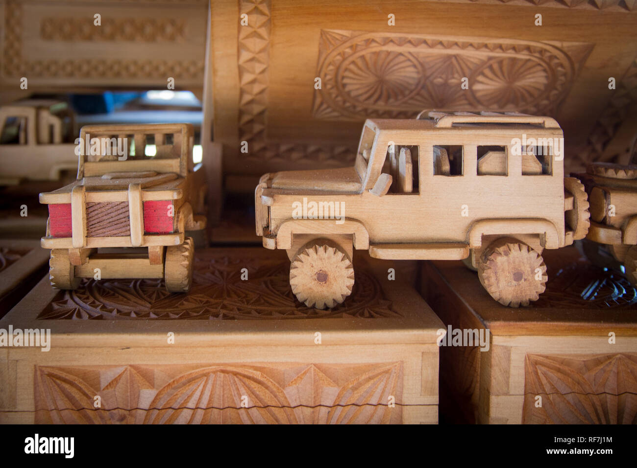 The Mulanje Cedar, Widdringtonia whytei, is critically endangered due ...