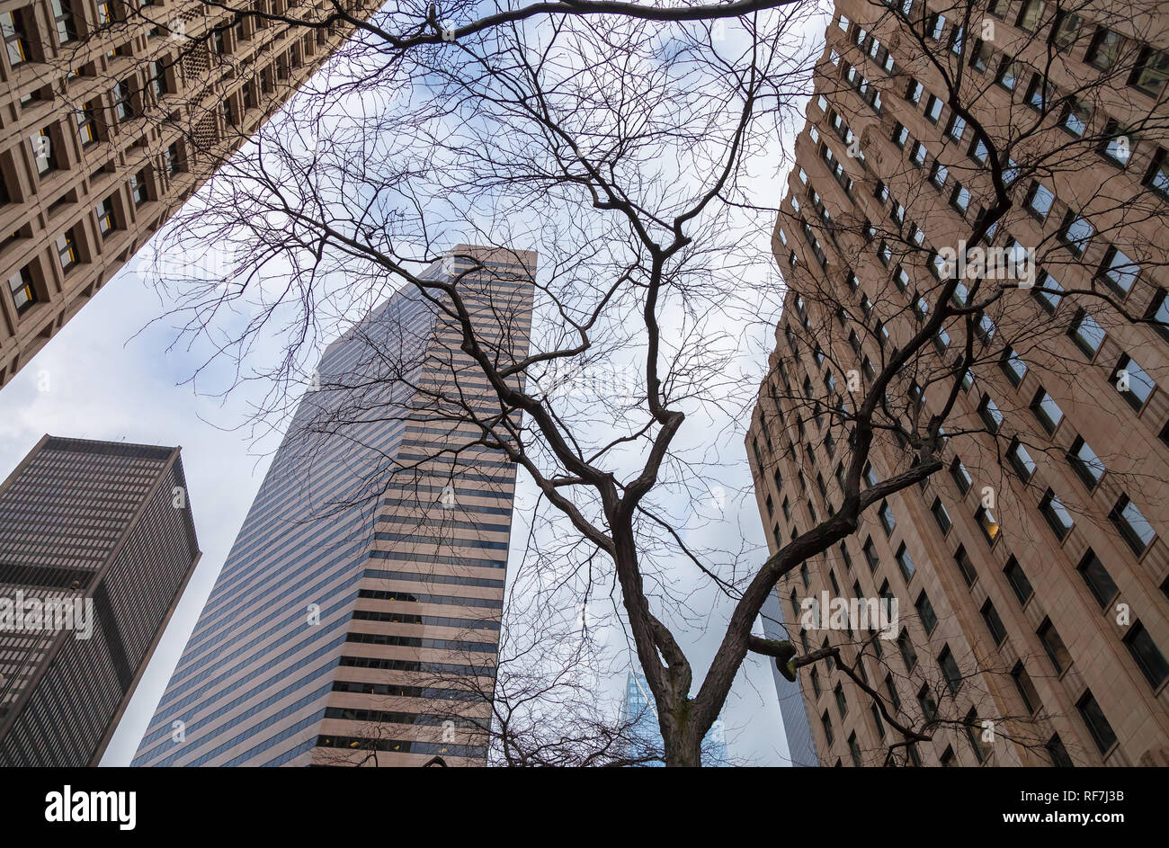 Downtown seattle winter hi-res stock photography and images - Alamy