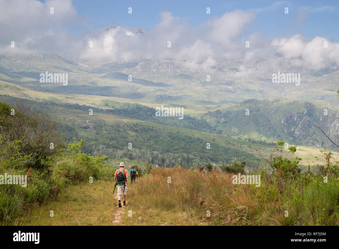 Mount Mulanje, a giant massif in southern district, Malawi, is the ...