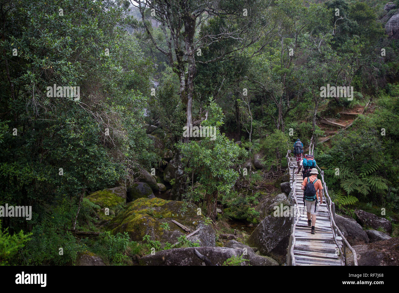 Mount Mulanje, a giant massif in southern district, Malawi, is the ...