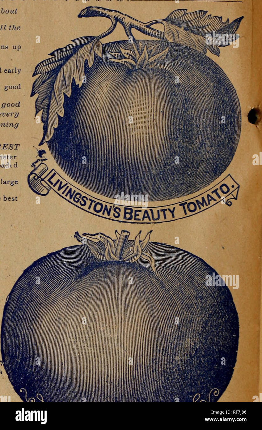 Pasto in a box hi-res stock photography and images - Alamy