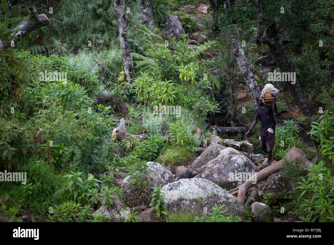 Back Breaking Load High Resolution Stock Photography and Images - Alamy