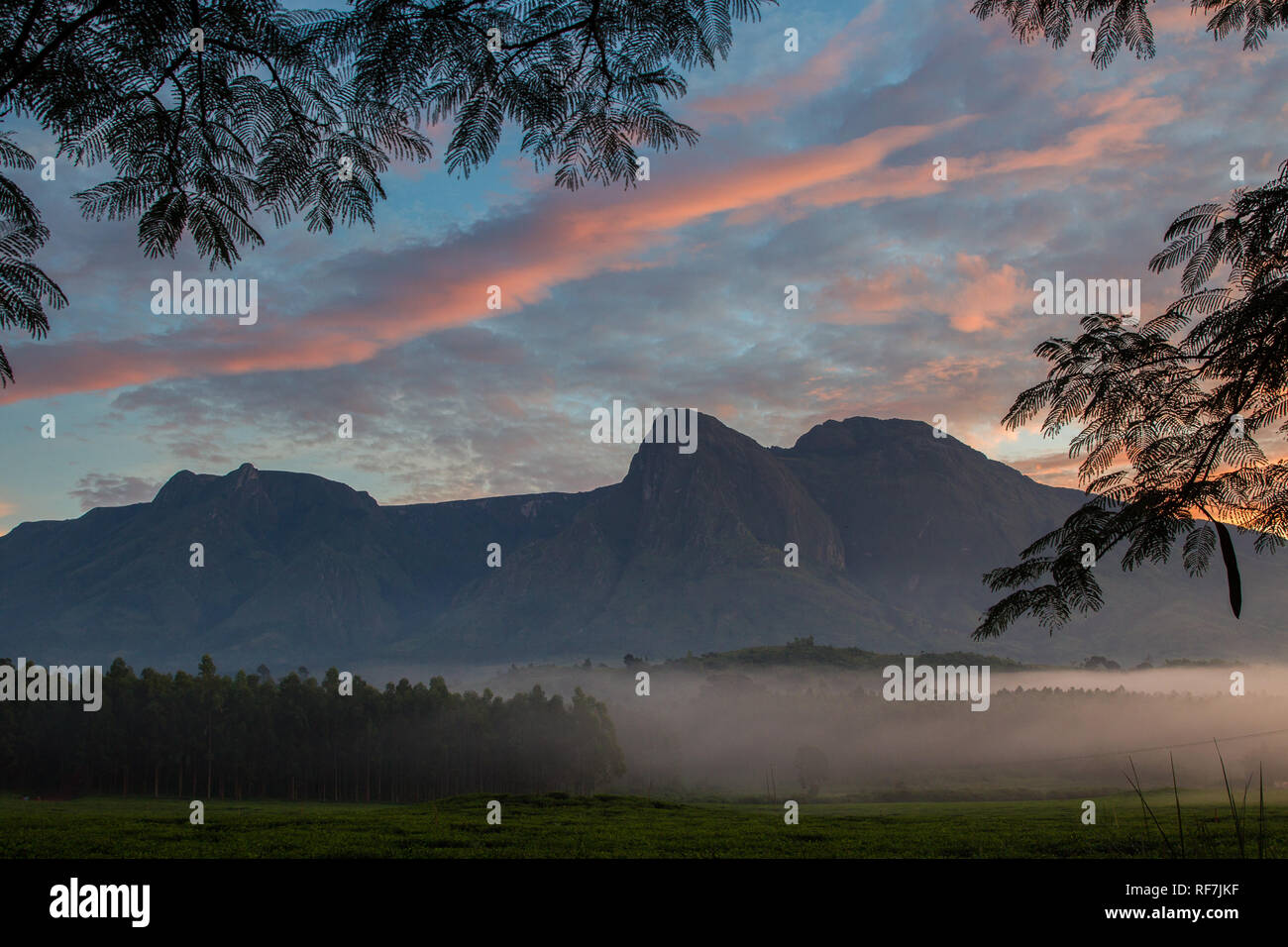 Mount Mulanje Massif, the tallest mountain in south central Africa ...