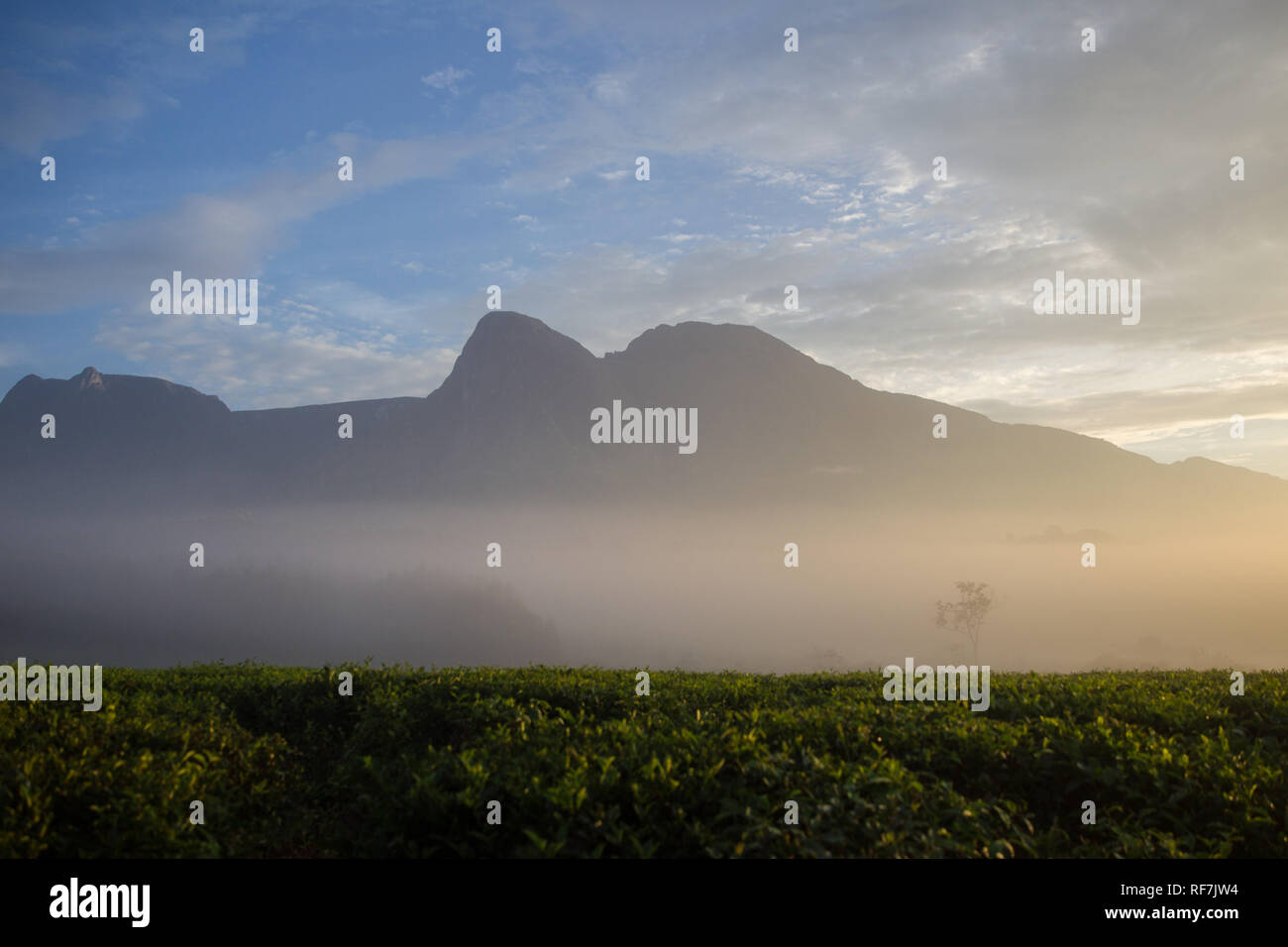 Tallest Mountain Stock Photos & Tallest Mountain Stock Images - Alamy