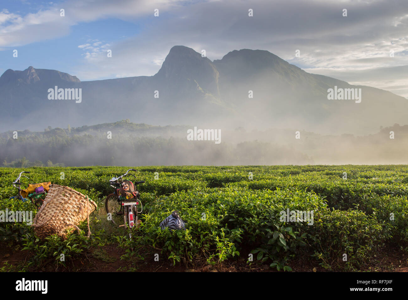 Mount Mulanje Massif, the tallest mountain in south central Africa ...