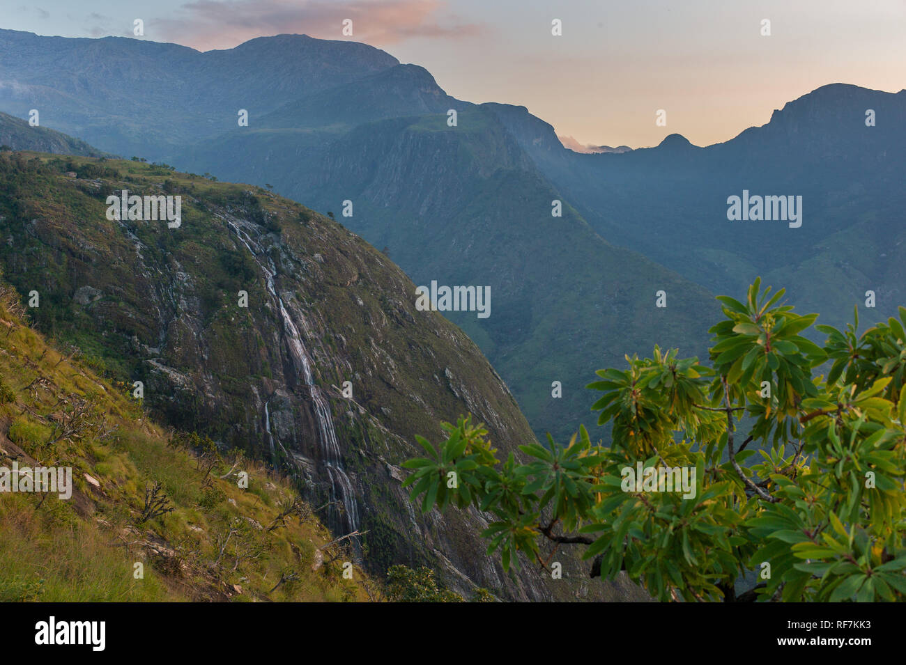 Mulanje mountain forest reserve malawi hi-res stock photography and ...