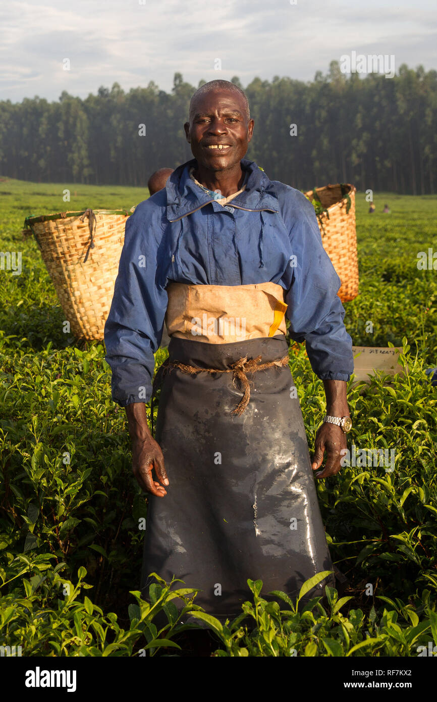 Malawi men workers hi-res stock photography and images - Alamy